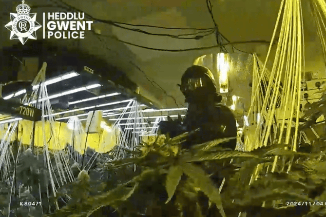 Police Raid Uncovers Cannabis Farm In Disused Town Centre Premises