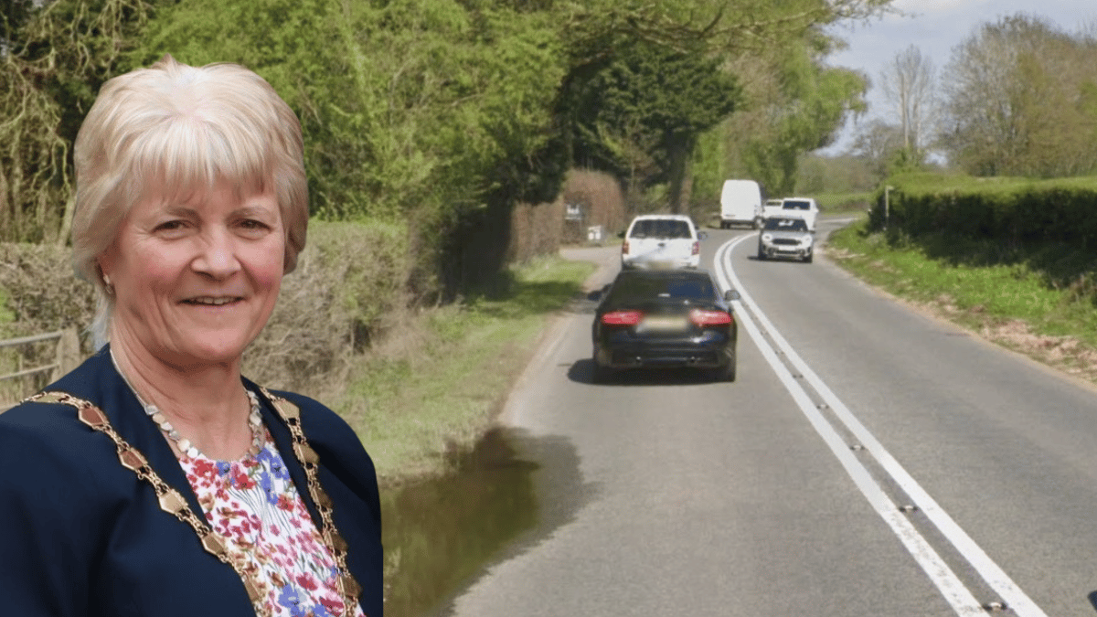 There's more carrot than stick in Forest council's budget a councillor ...