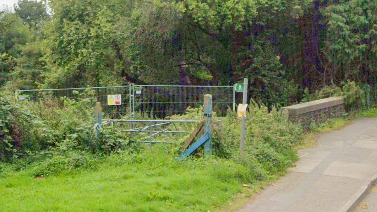 second Severn Bridge construction blamed for Caldicot Castle flooding ...