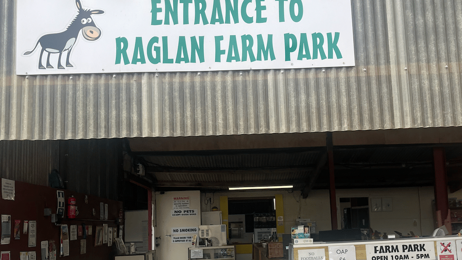 Visit Raglan Farm Park for a summer family adventure | chepstowbeacon.co.uk